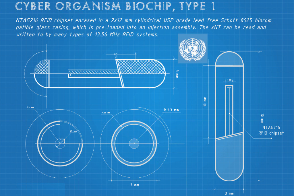 La ONU planea utilizar chip para identificar a toda la humanidad ...